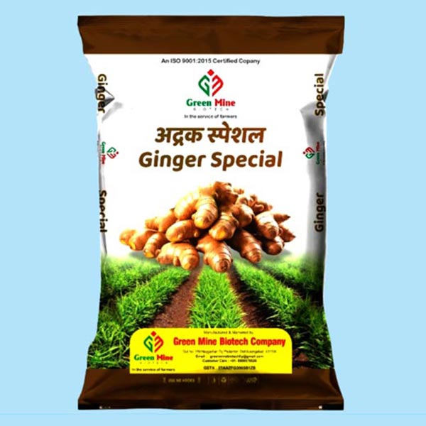 GMB Ginger Special Green Mine Biotech Company gmb-ginger-special-green-mine-biotech-company